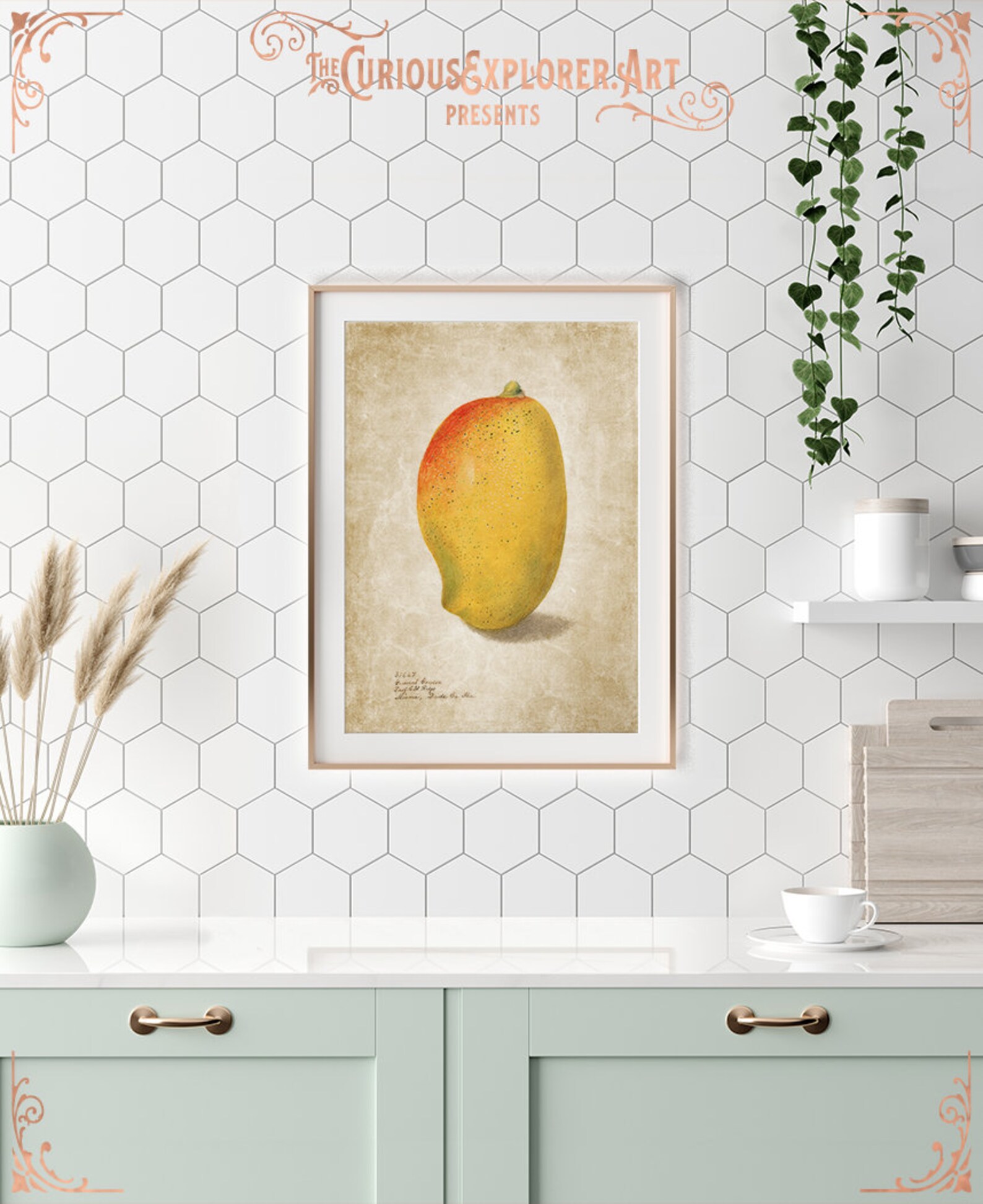 Mango Wall Art Kitchen Poster Botanical Art Decor Unique - Etsy