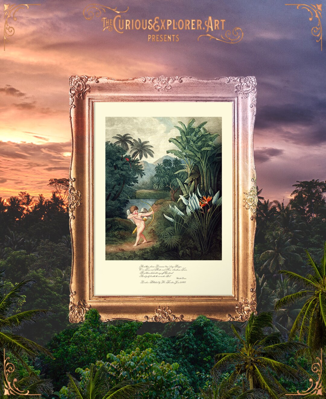 Bloom Flower Posters, Flower Decor, Crane Blossom Art, Crane Florals ...