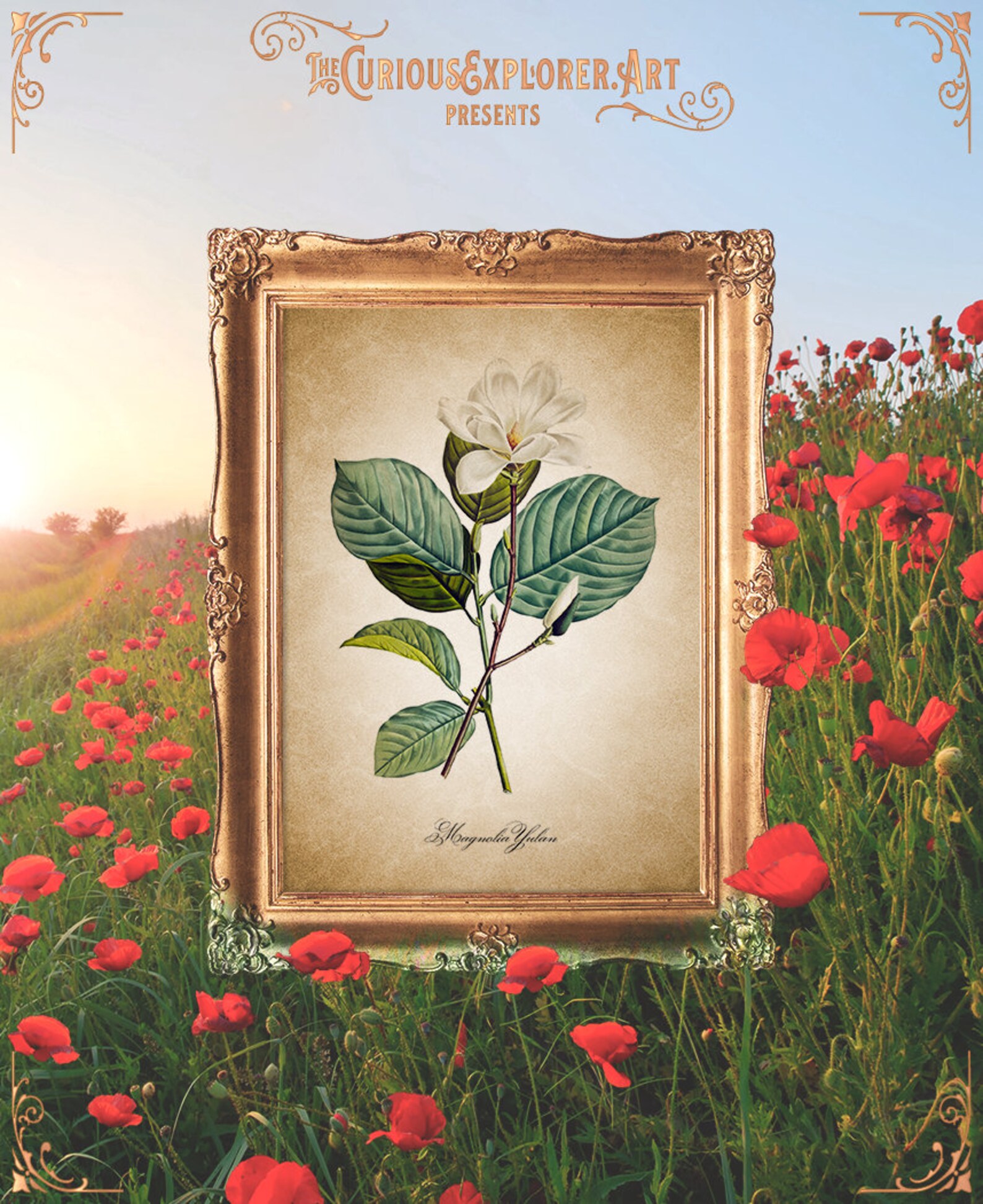 Magnolia Art Posters Magnolia Print Magnolia Dorm Decor | Etsy