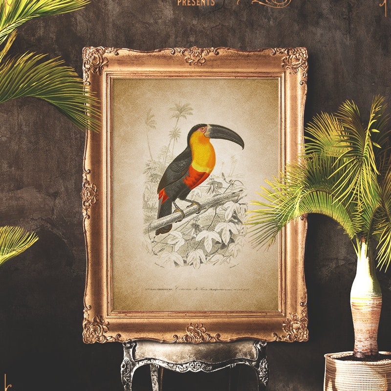 Toucan Art - Etsy