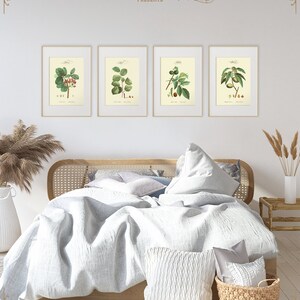 Nut Print Set, Love Gift Wall Art, Gift for Boy, Almond Tree, Nut ...