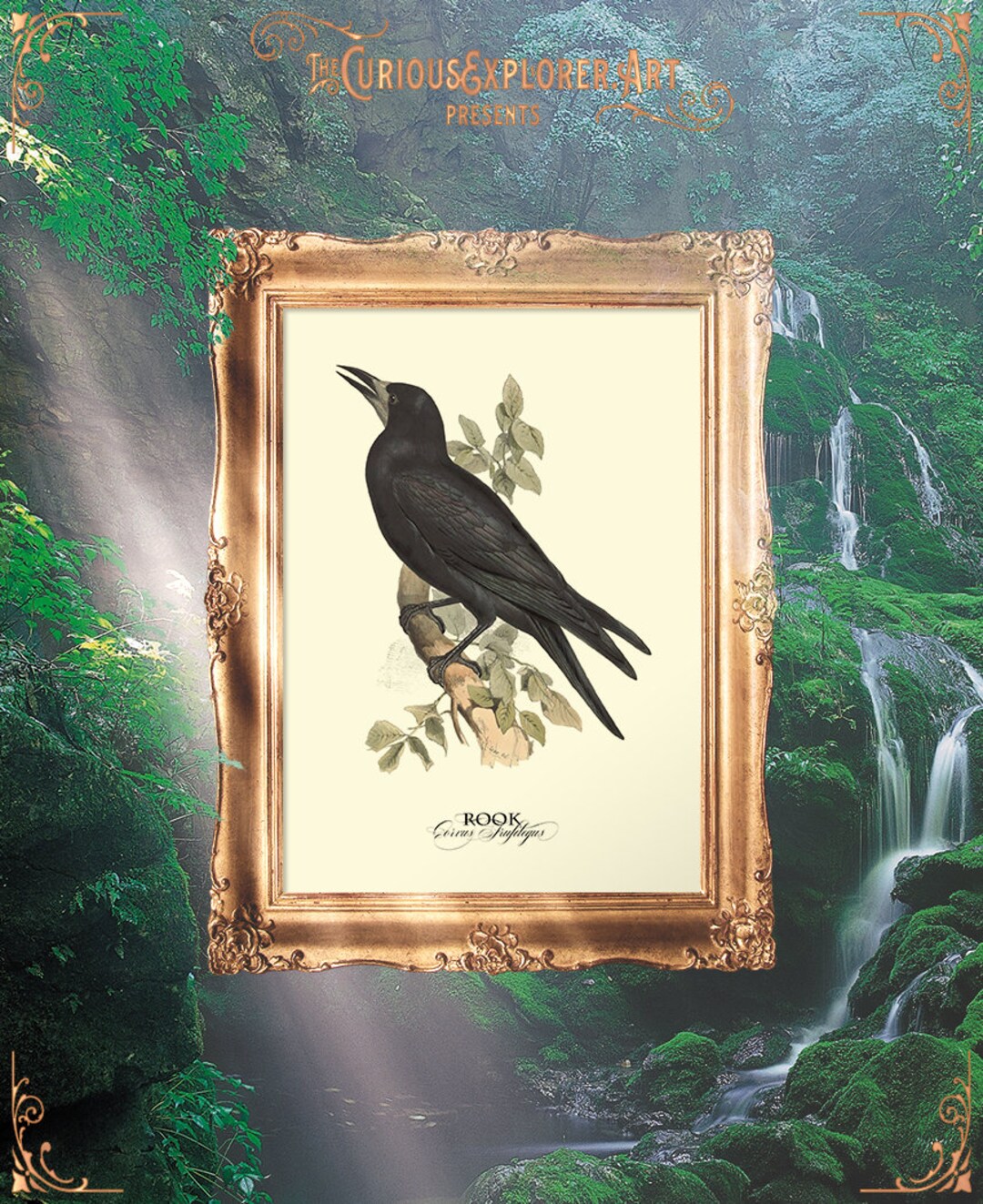 Rook Art Decor, Black Bird Art, Rook Art Poster, Home Bird Decor ...