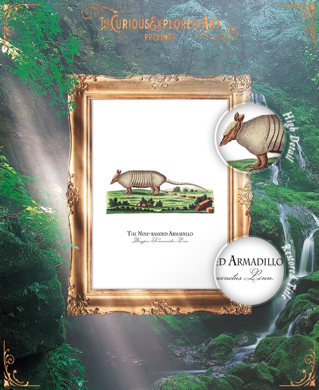 Armadillo Poster, Cool Animal Posters, Armadillo Dad Gift, Animal Print ...