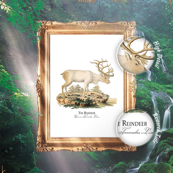 Childrens Animal Art - Etsy