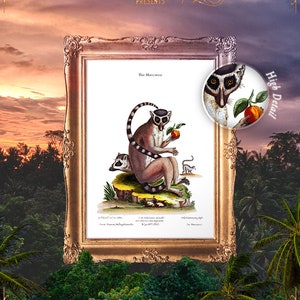 Lemur Decor, Cute Animal Posters, Old Biology Posters, Long Tail Lemur ...