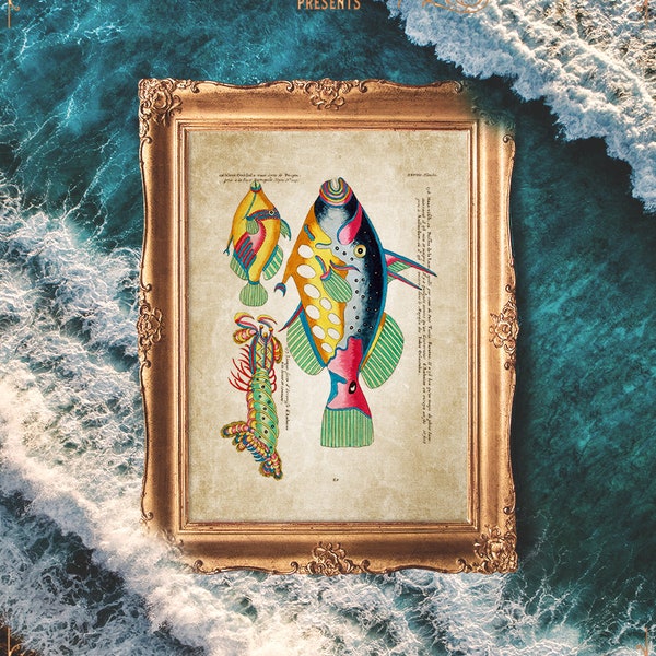 Rainbow Fish Poster - Etsy