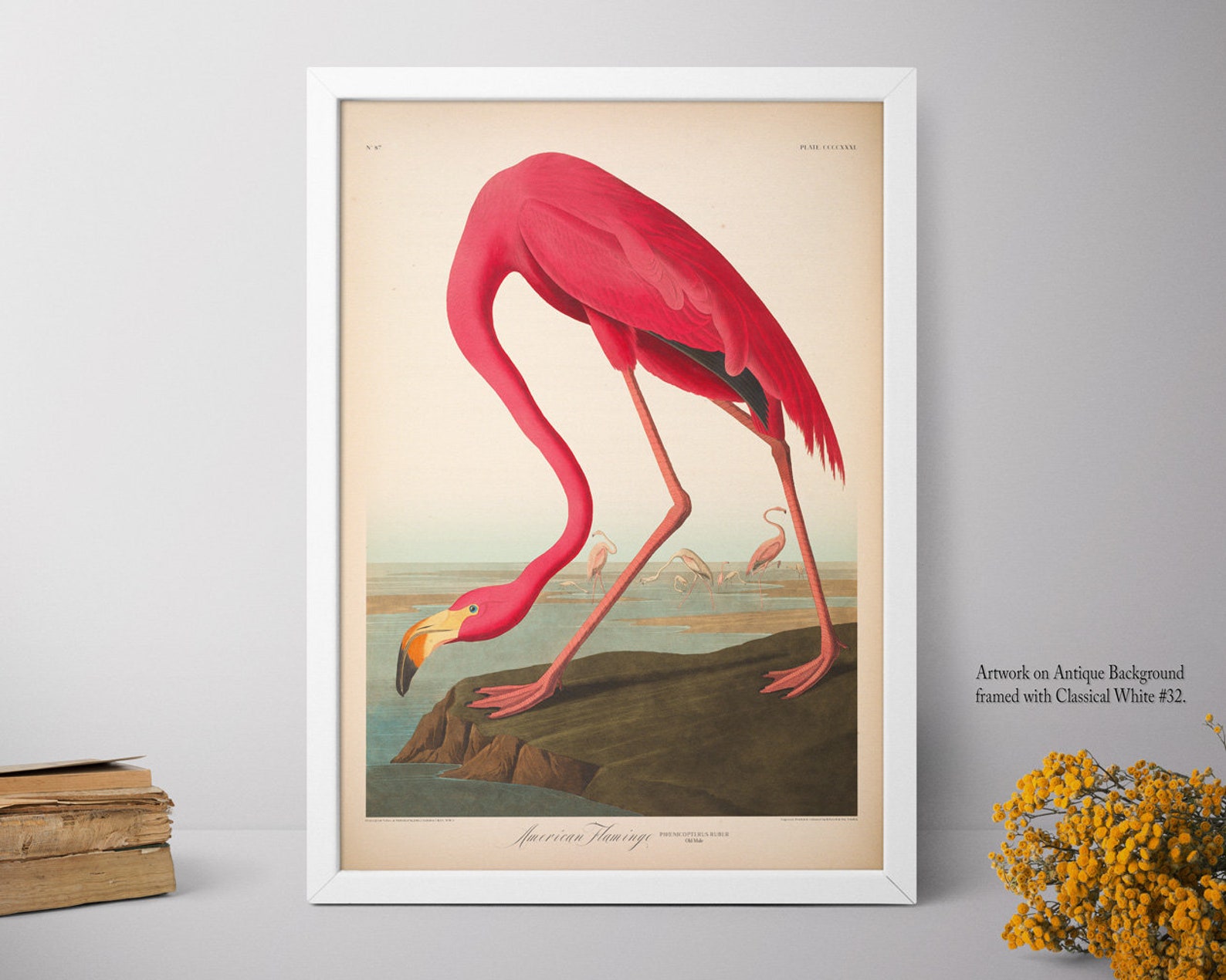 Framed Bird Poster Flamingo Poster Living Room Decor - Etsy