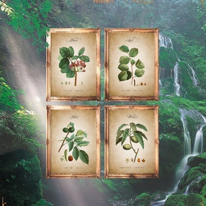 Nut Print Set, Love Gift Wall Art, Gift for Boy, Almond Tree, Nut ...