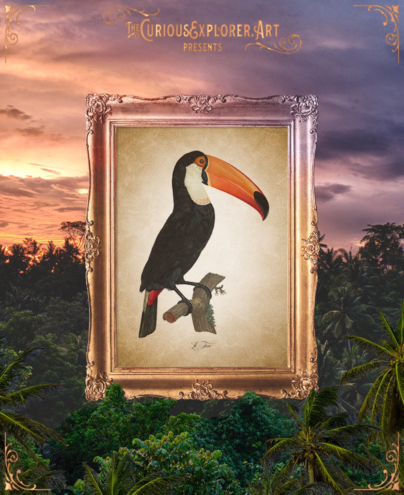 Toco Toucan Print, Animal Art Poster, Jungle Bird Poster, Bird Wall ...