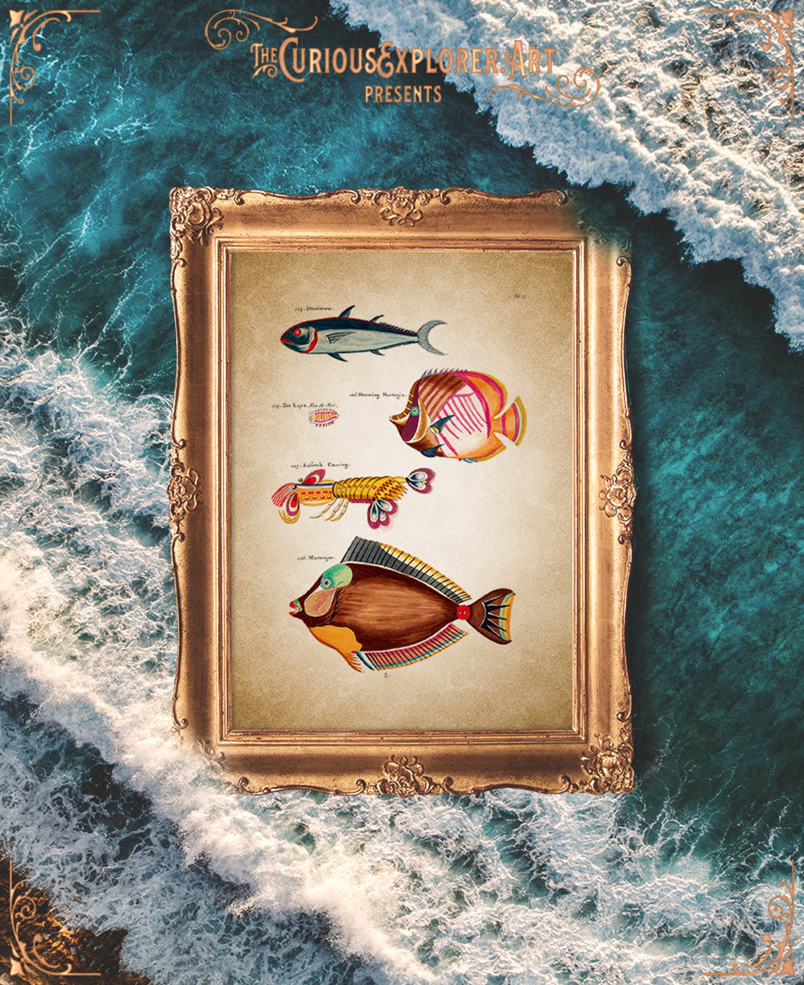 Funny Fish Print Baby Boy Fish Print Nursery Art Poster | Etsy