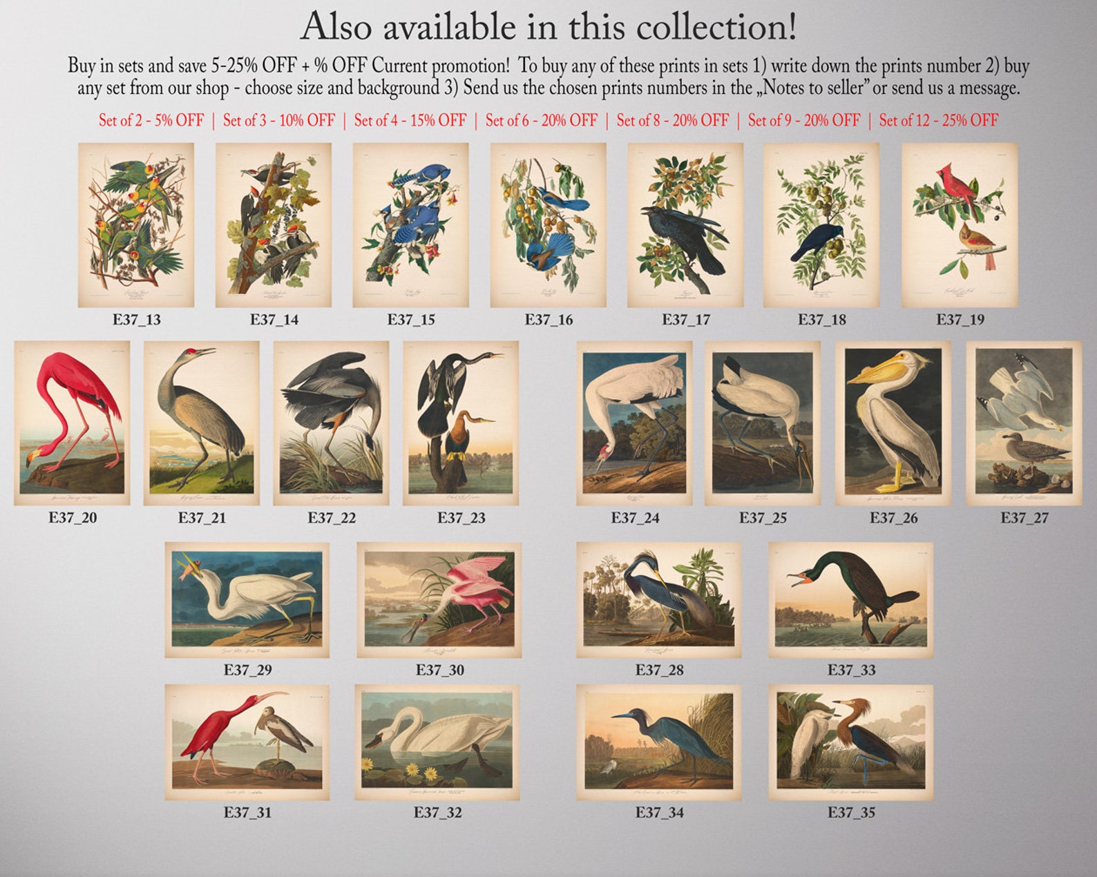Bird Print Large Wall Art Large Framed Art Vintage Bird - Etsy