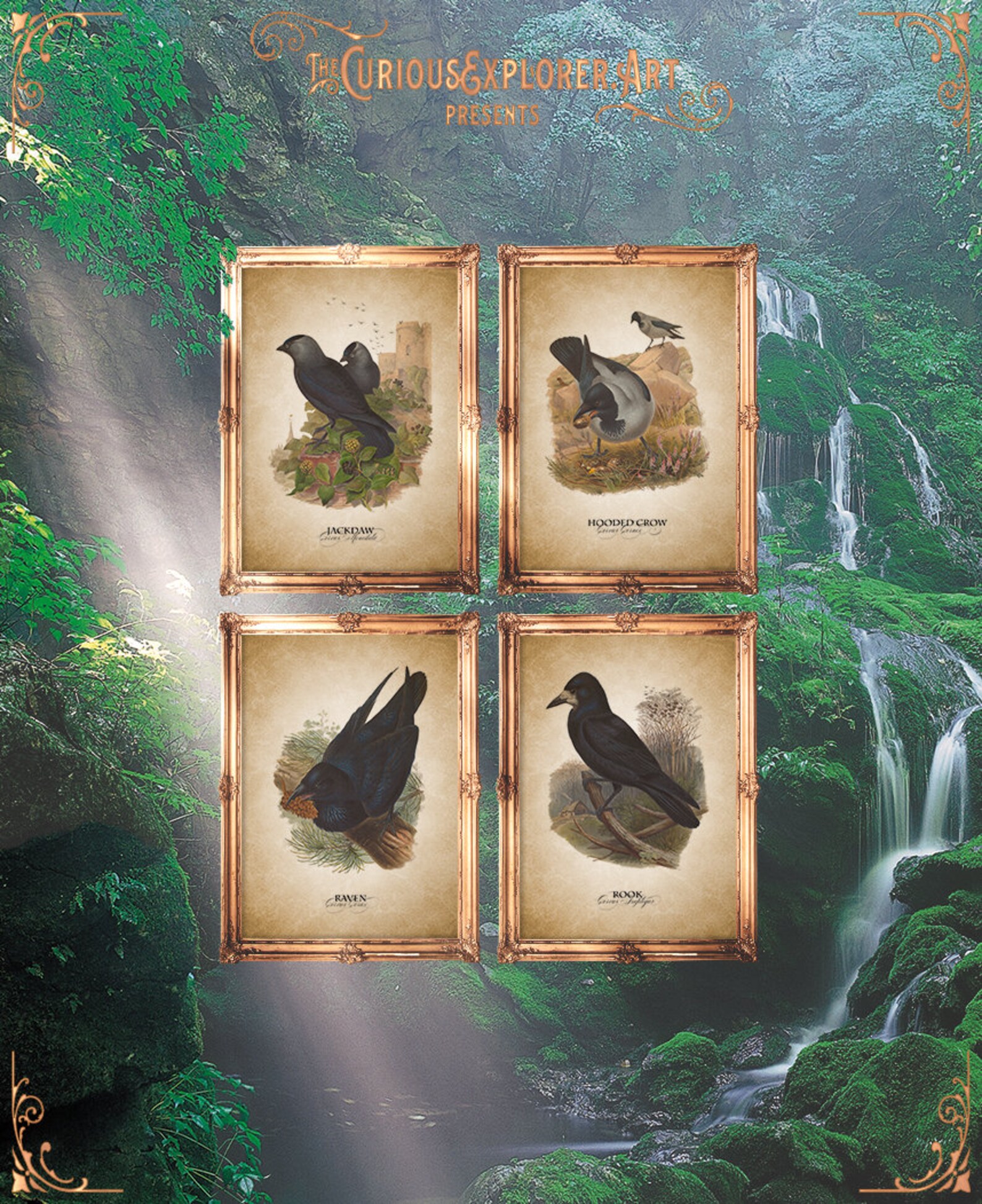 Birds Set Gift Gothic Bird Decor Bird Art Set Black Bird | Etsy