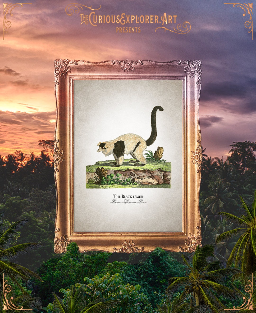 Lemur Art, Cute Lemur Print, Lemur Art Gift, Animal Decor, Lemur Wall ...