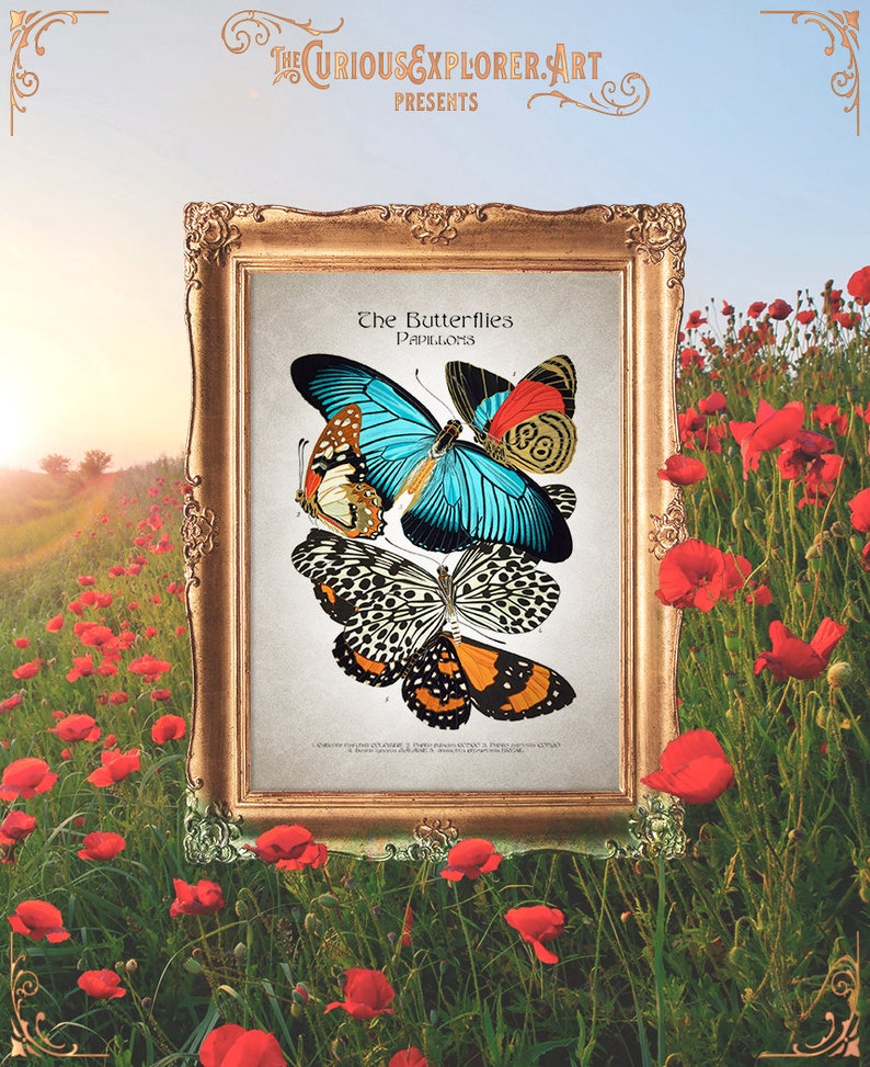 Blue Butterfly Print Butterflies Posters Prints Gift for | Etsy