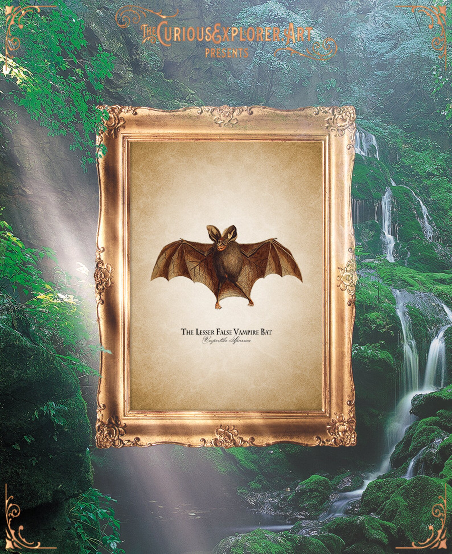 Bat Art Decor Vintage Animal Art Bat Halloween Animal - Etsy