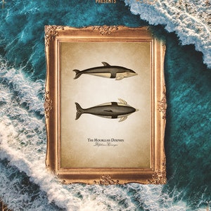 Dolphin Art Print Cool Animal Poster Dolphin Boy Gift | Etsy