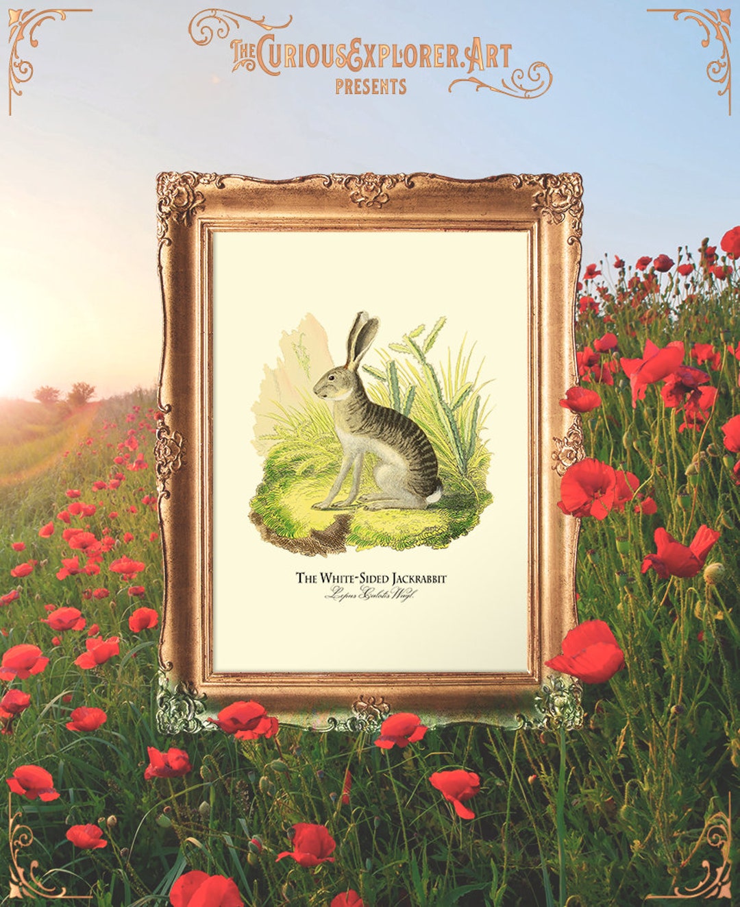 Rabbit Art Print, Cute Animal Art, Rabbit Mother Gift, Animal Print ...