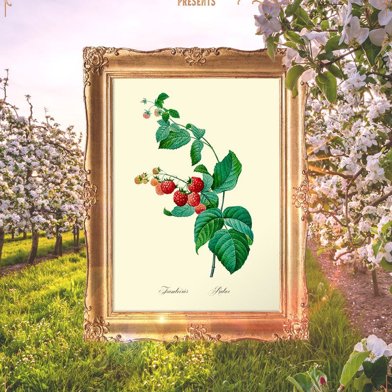 Raspberry Decor - Etsy