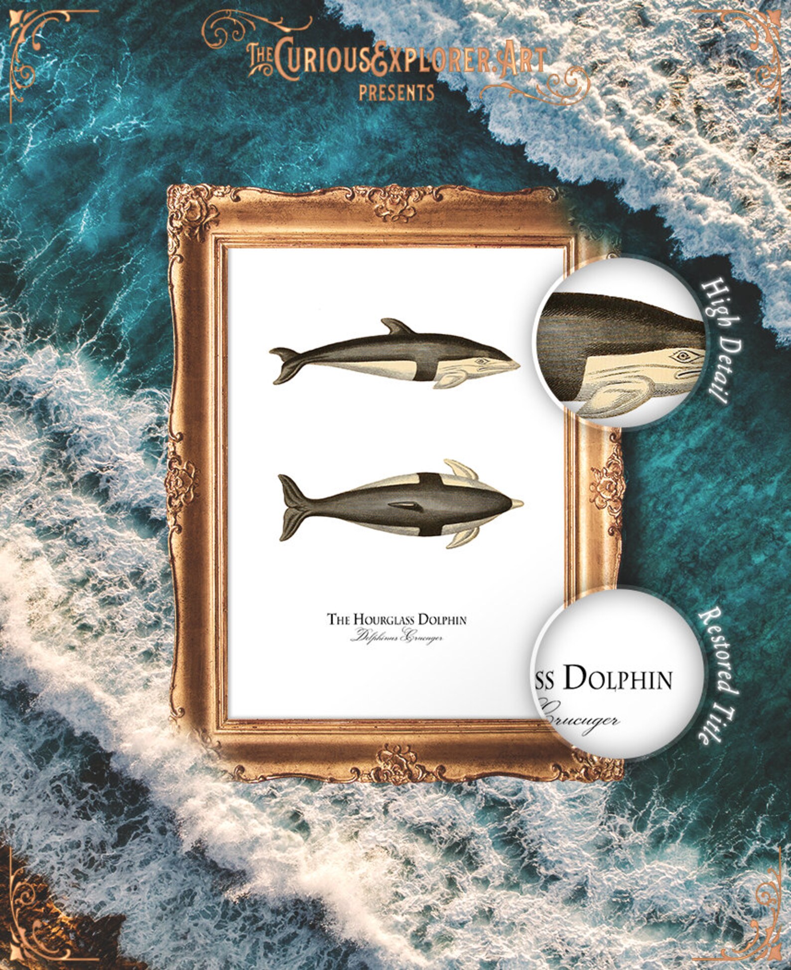 Dolphin Art Print Cool Animal Poster Dolphin Boy Gift - Etsy