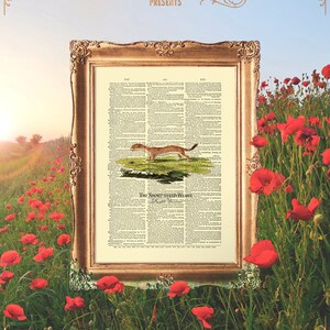 Weasel Poster, Cool Animal Wall Art, Weasel Love Gift, Animal Posters ...