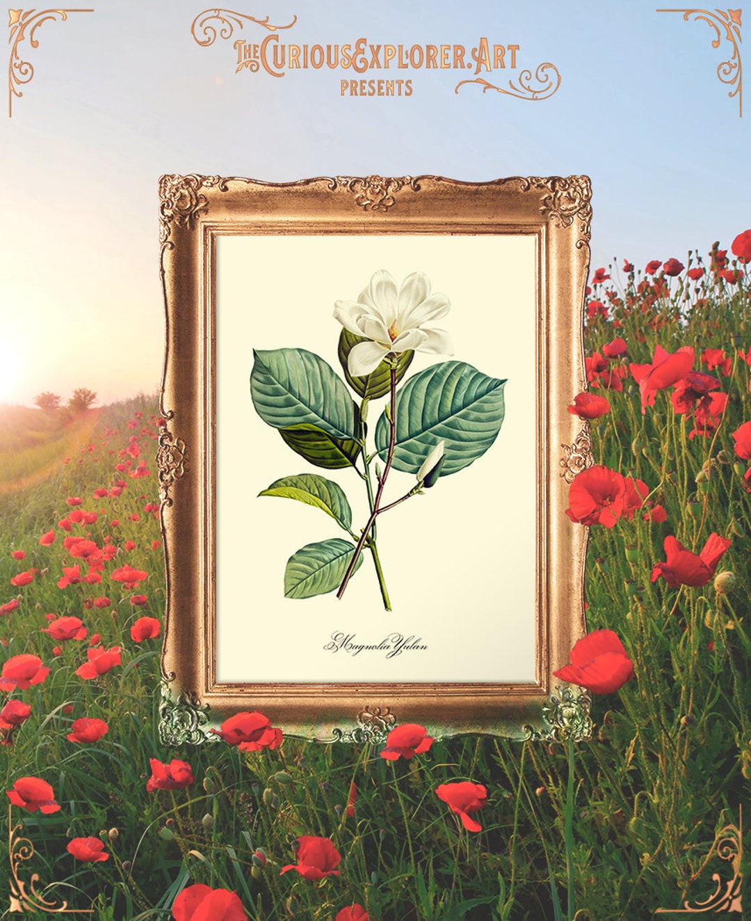 Magnolia Art Posters, Magnolia Print, Magnolia Dorm Decor, Magnolia ...