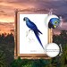 Blue Parrot Print, Exotic Birds Decor, Parrot Illustration, Bleu Maccaw ...