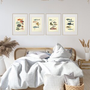 Aquatic Posters Fish Print Pack Fish Prints Tropical Fish - Etsy
