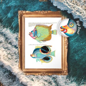 Color Fish Print Fish Illustrations Tropical Fish Poster - Etsy