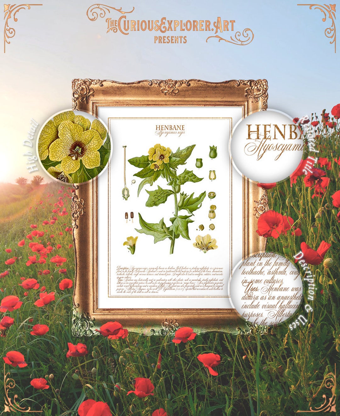 Henbane Print, Magic Occult Plant, Witchcraft Herbal, Magical Plant ...