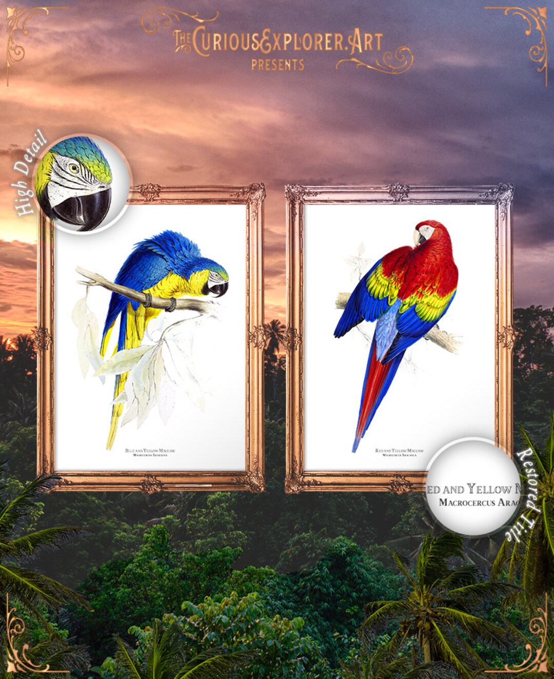 Blue Cockatoo Poster, Wedding Favor Prints, Birds Bathroom Decor, Bird ...