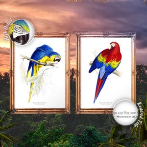 Blue Cockatoo Poster, Wedding Favor Prints, Birds Bathroom Decor, Bird ...