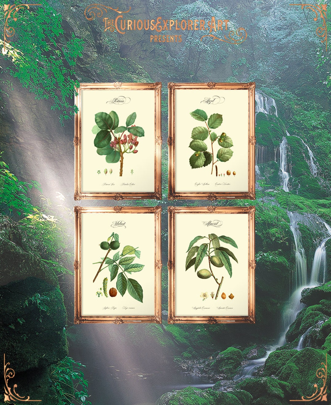 Nut Print Set, Love Gift Wall Art, Gift for Boy, Almond Tree, Nut ...