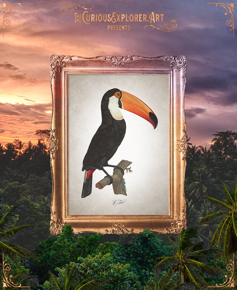Toco Toucan Print, Animal Art Poster, Jungle Bird Poster, Bird Wall ...