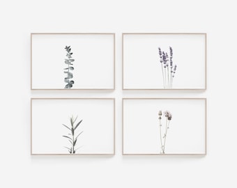 Botanical prints | Etsy