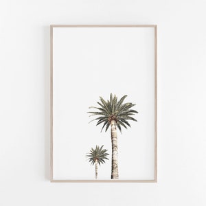 Palm Tree, Palm Print, Palm Tree Print, Palm Photography, Tropical ...