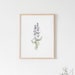 Digital Prints, Botanical Prints, Wild Plant, Wildflower Print ...