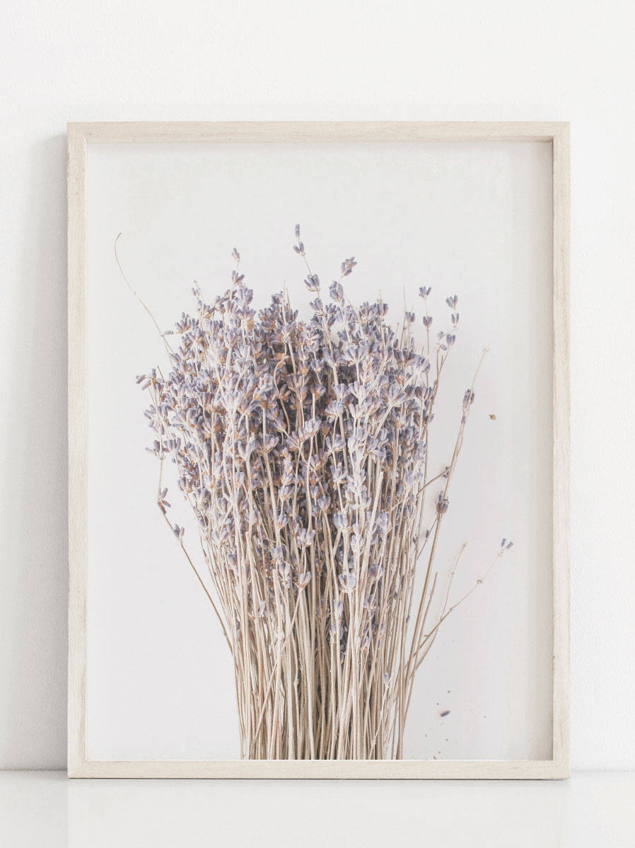 Lavender Printbotanical Printlavender Wall Artbotanical - Etsy