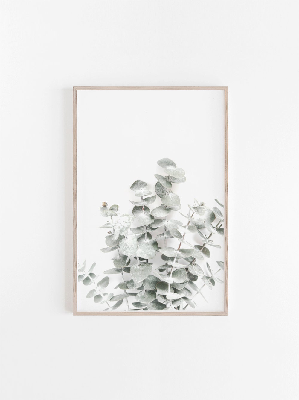 Eucalyptus PrintBotanical PrintEucalyptus | Etsy