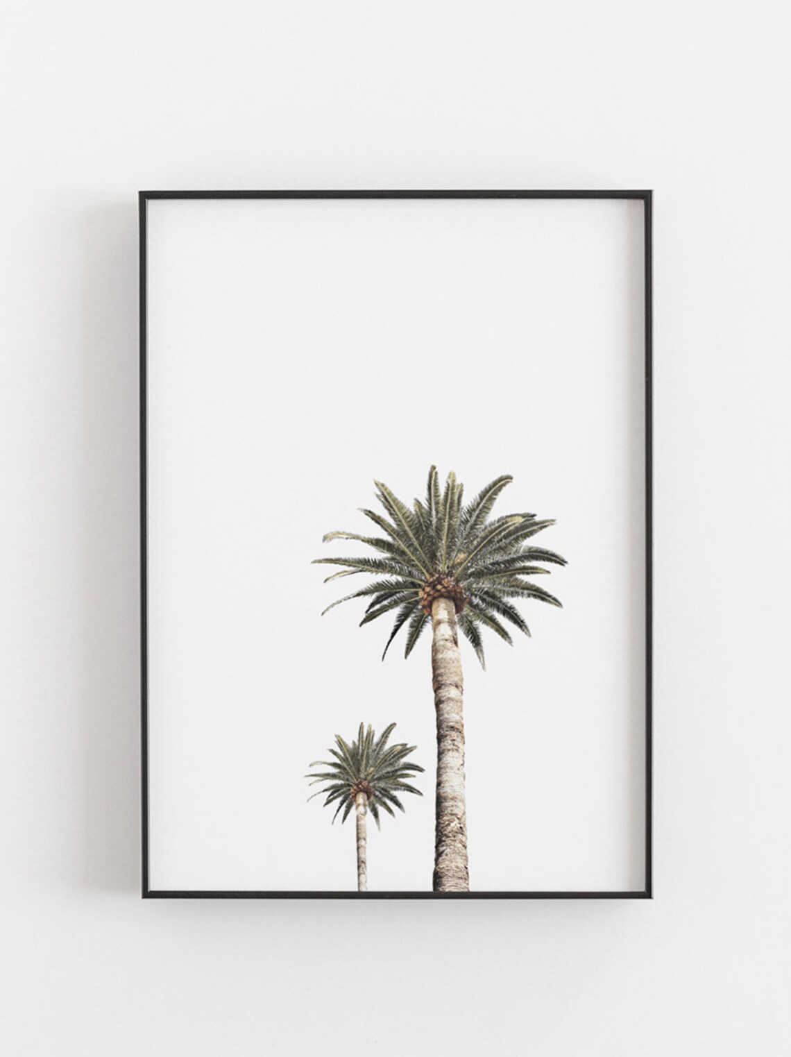 Palm Tree Palm Print Palm Tree Print Palm Photography | Etsy