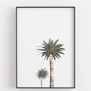 Palm Tree, Palm Print, Palm Tree Print, Palm Photography, Tropical ...