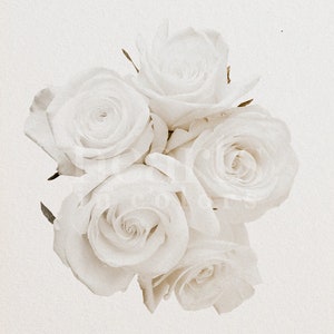 White Roses Print,digital Print,flowers Print,floral Print,white ...