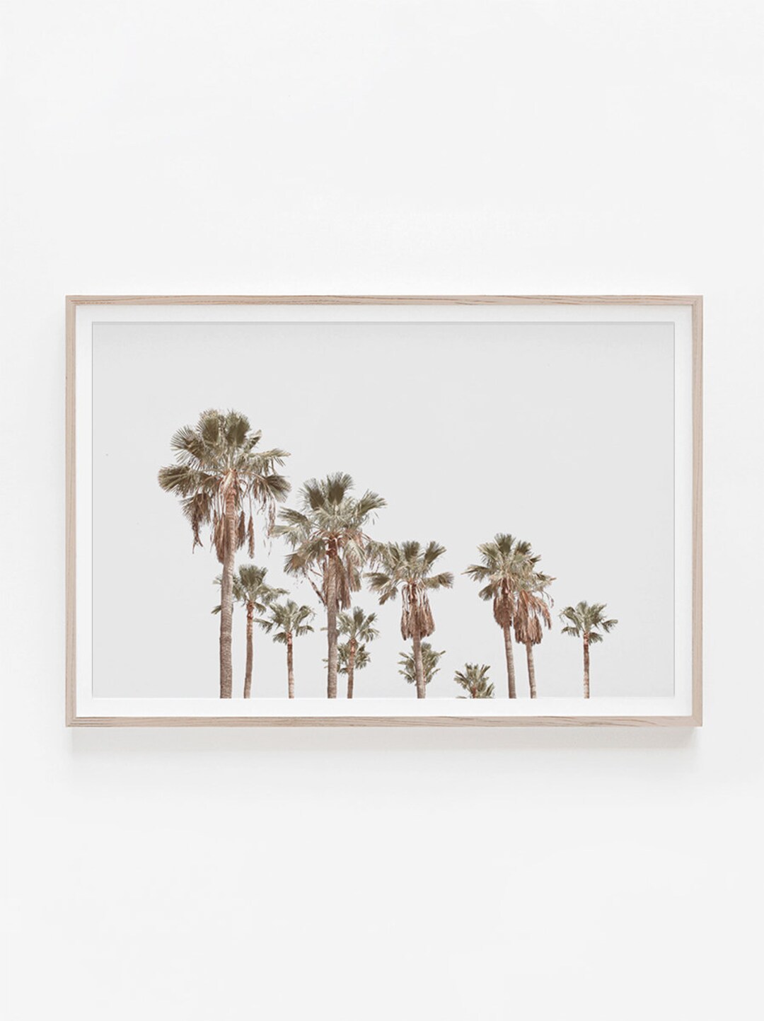 Palm Tree,palm Trees,palm Tree Print,tropical Print,prints,wall Art ...