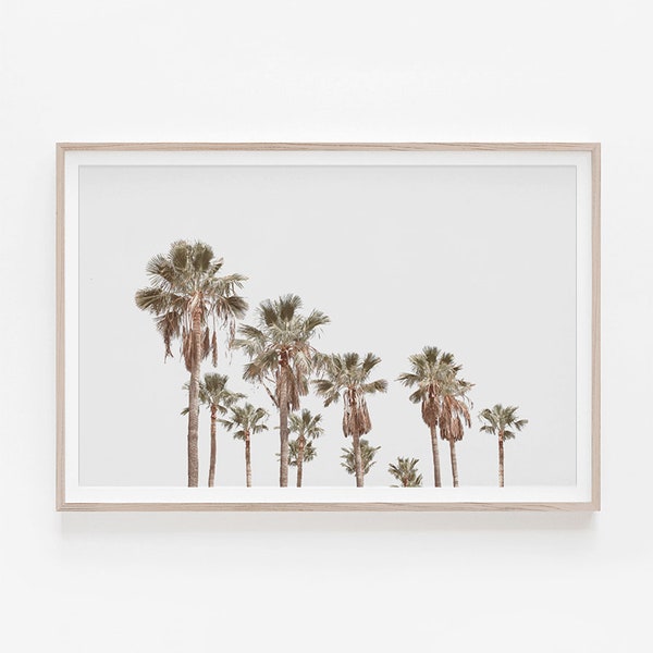 California Palm Tree - Etsy