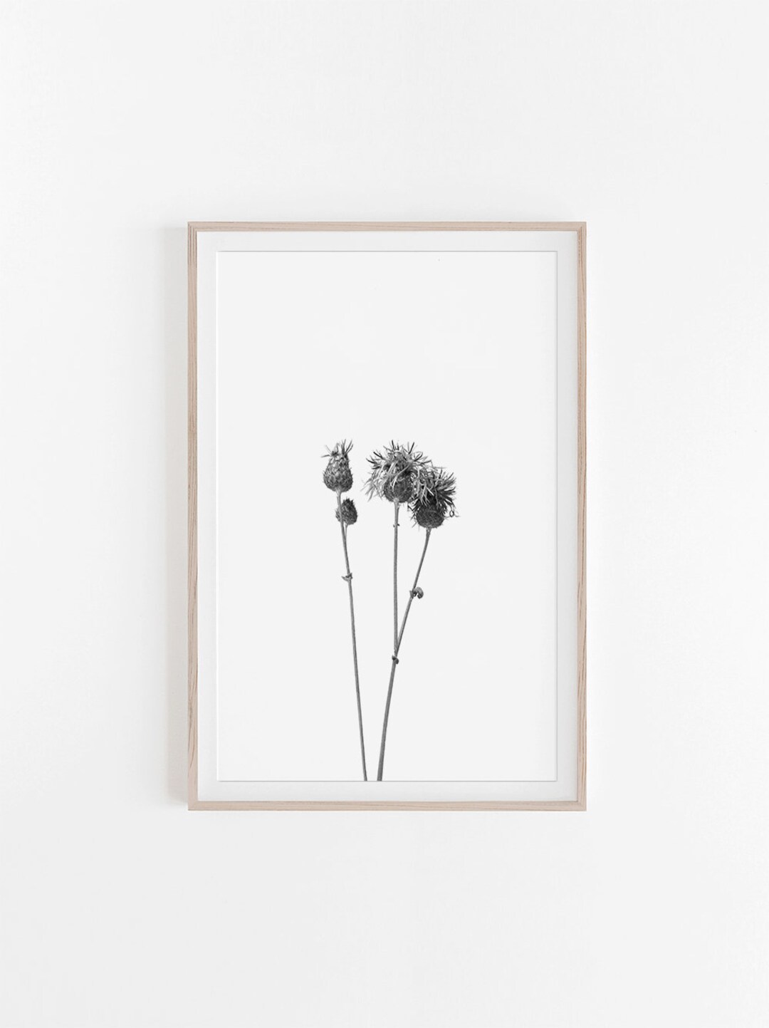 Black and White, Digital Print, Thistle Print, Black and White Art ...
