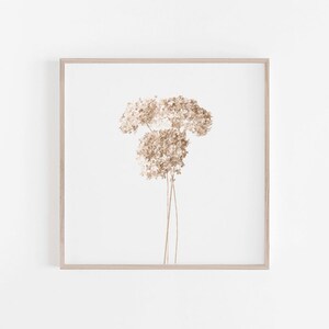 Digital Prints, Set of 9 Prints, Square Prints, Botanical Prints ...