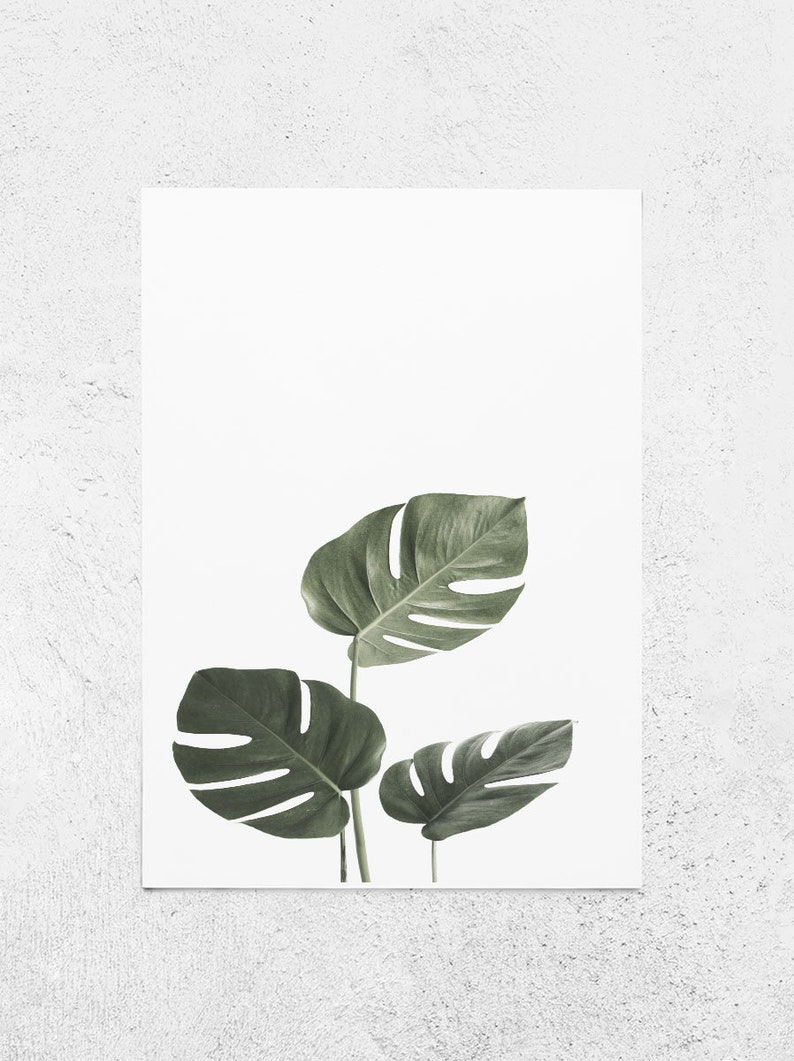 Monstera Print Monstera Wall Art Tropical Print Tropical | Etsy