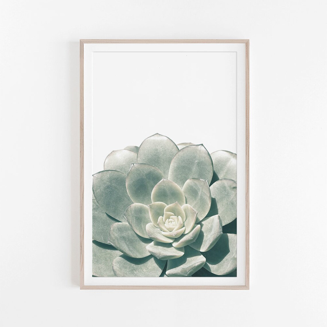 Succulent Prints Succulent Art Prints Succulent Wall Art - Etsy
