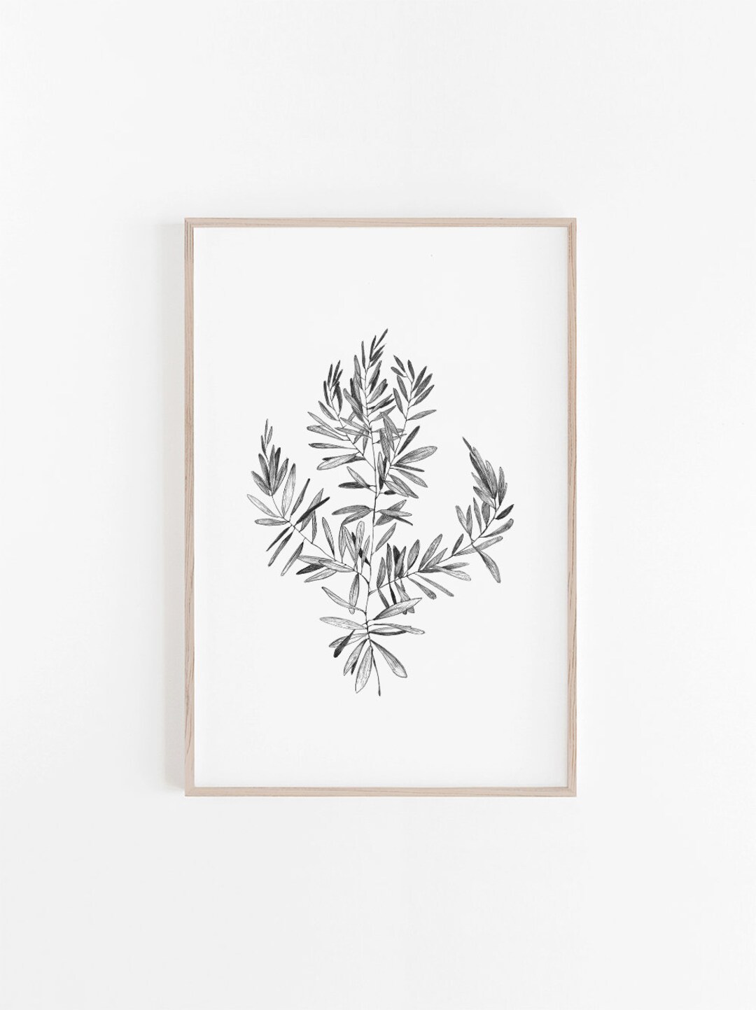 Olive Print, Digital Prints, Botanical Print, Botanical Wall Art ...