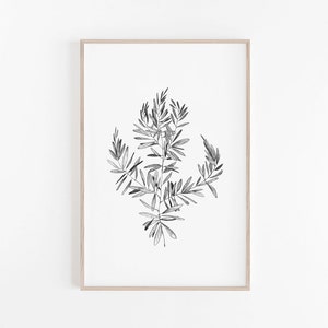 Olive Print, Digital Prints, Botanical Print, Botanical Wall Art ...
