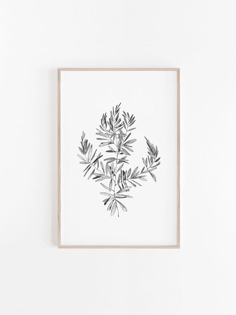 Olive Print Digital Prints Botanical Print Botanical Wall - Etsy